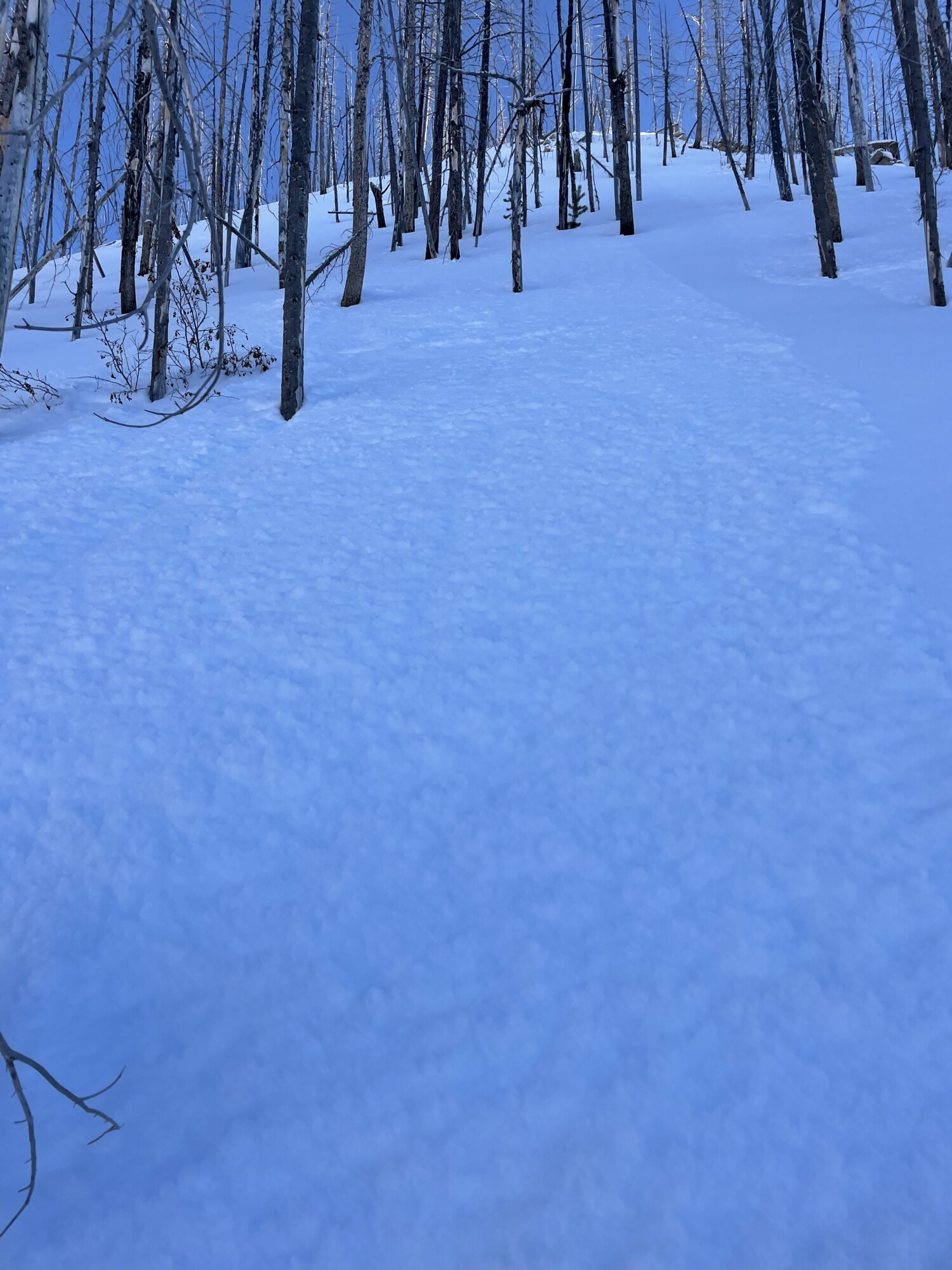 Payette Avalanche Center » Public Observation