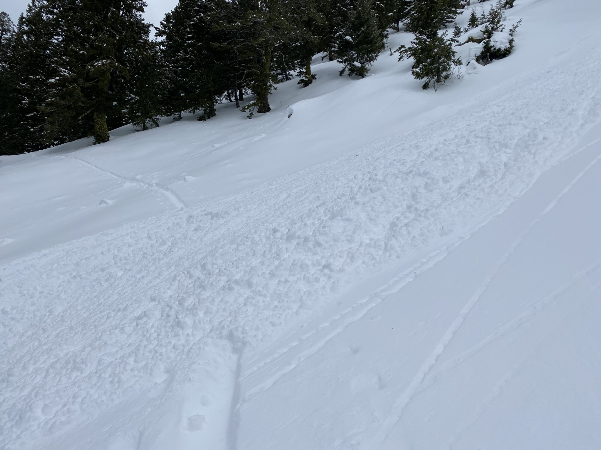 Payette Avalanche Center » Pro Observation