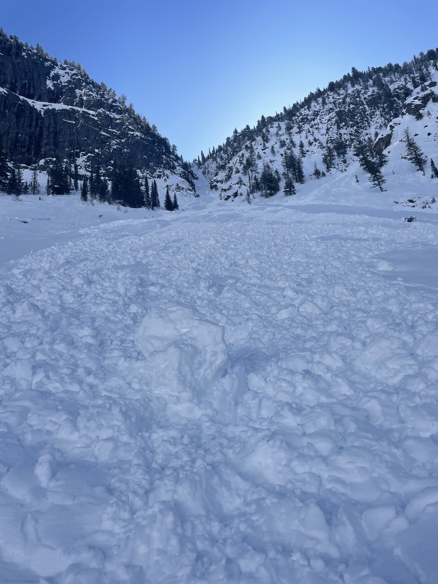Payette Avalanche Center » Pro Observation