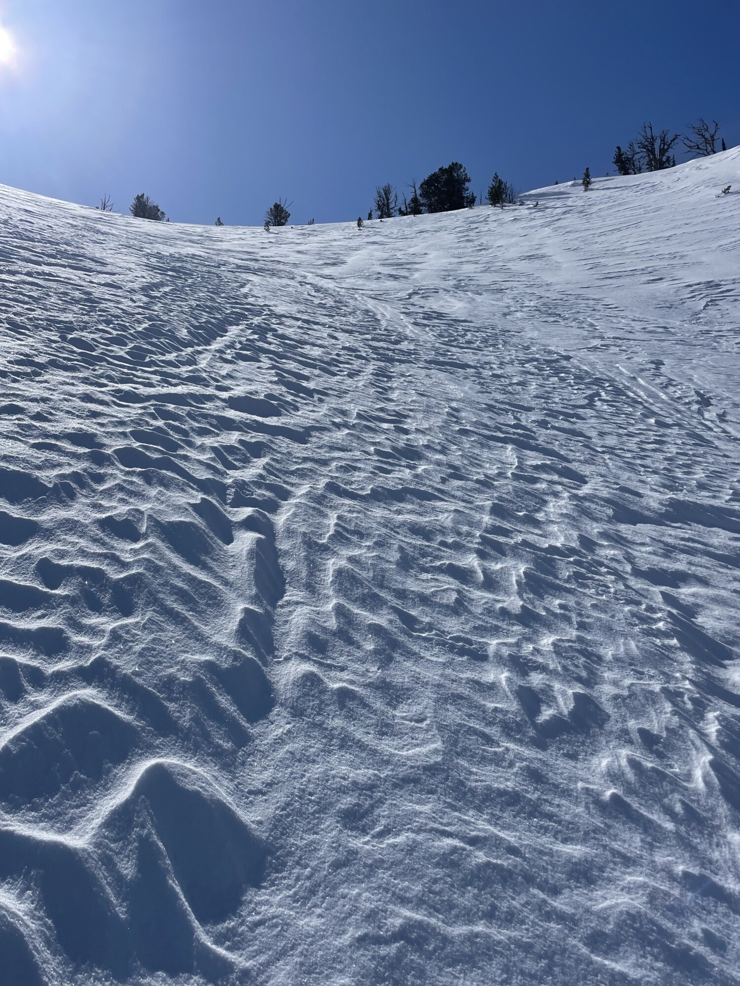 Payette Avalanche Center » Pro Observation