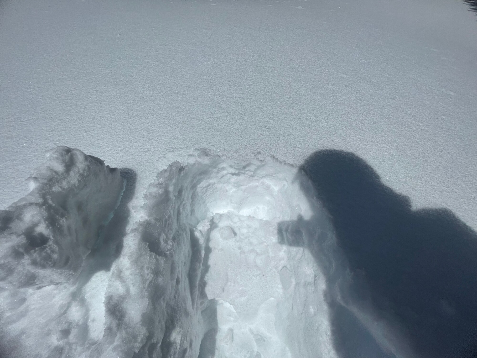 Payette Avalanche Center » Pro Observation