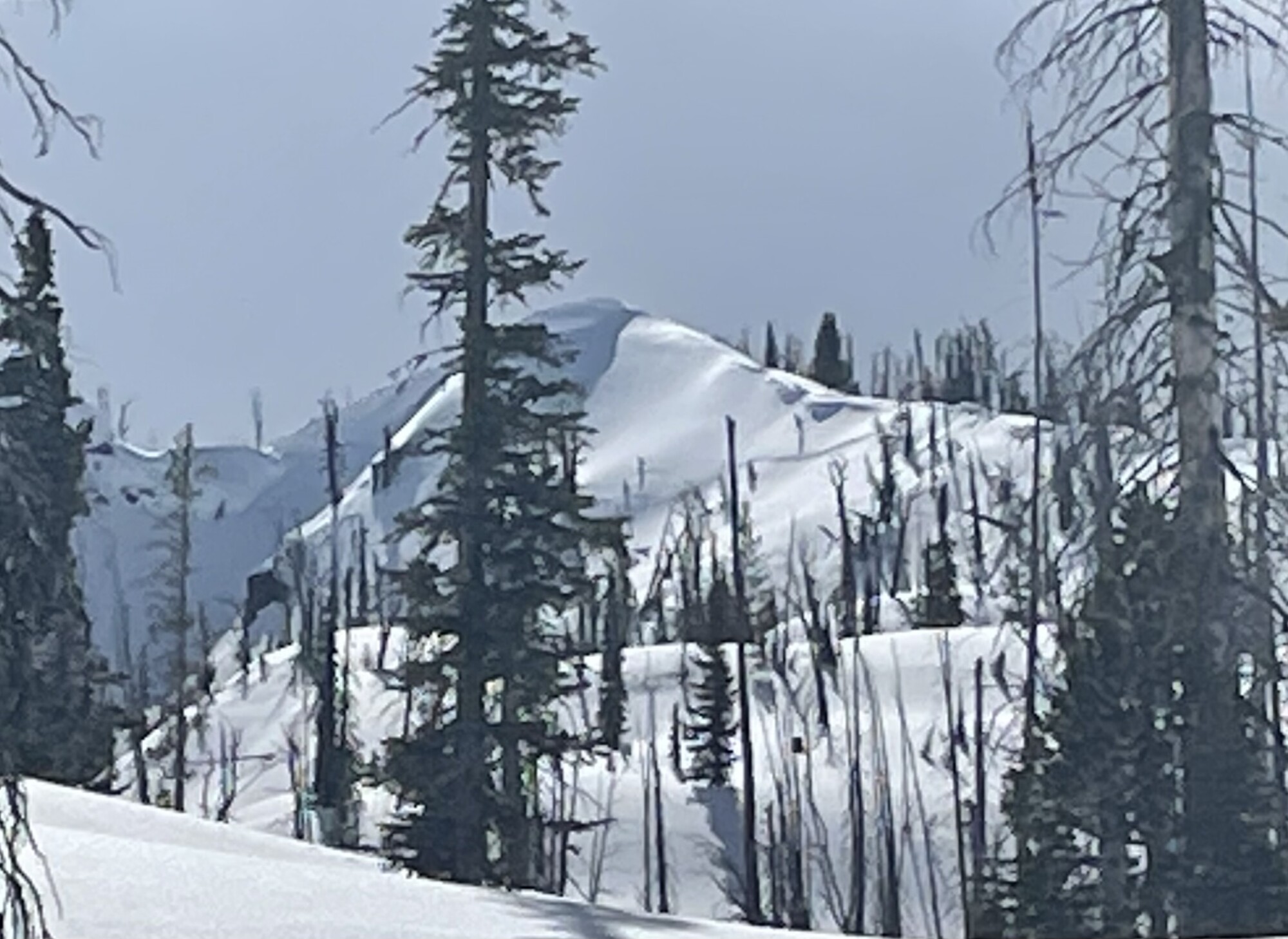 Payette Avalanche Center » Public Observation